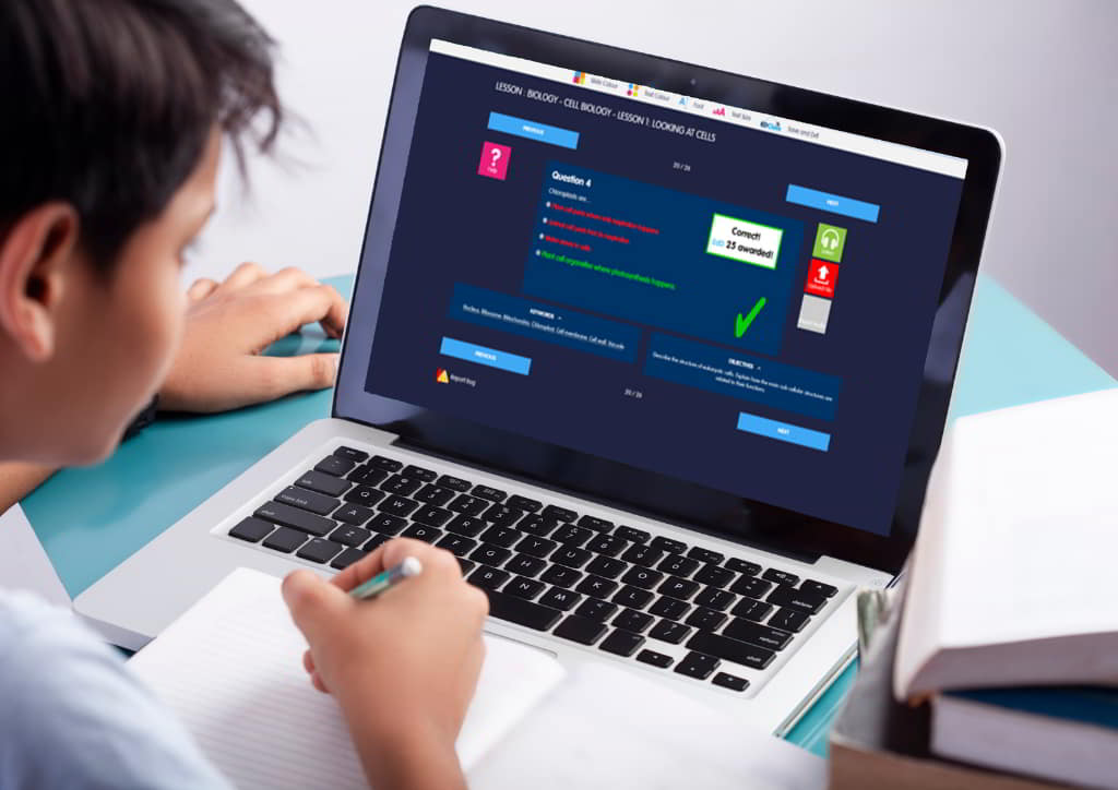 How To Safeguard Vulnerable Learners With A Holistic Approach - EDBlog